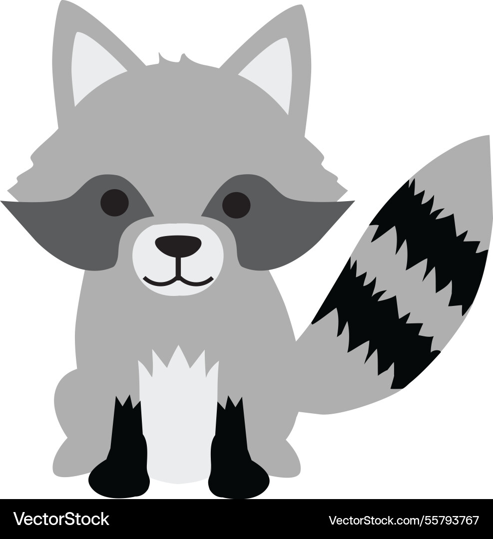 Cute raccoon Royalty Free Vector Image - VectorStock