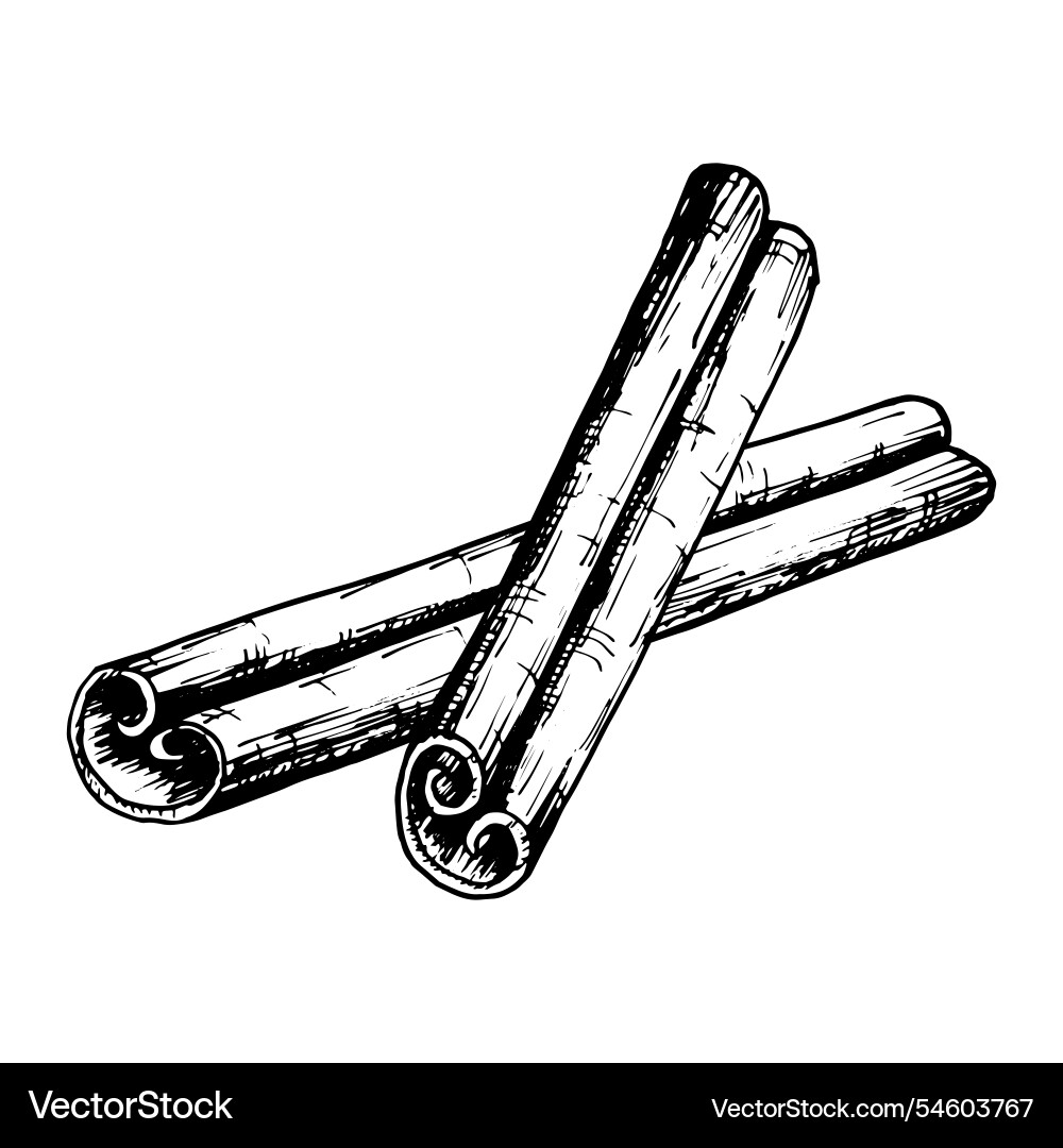 Hand drawn of crossed cinnamon Royalty Free Vector Image