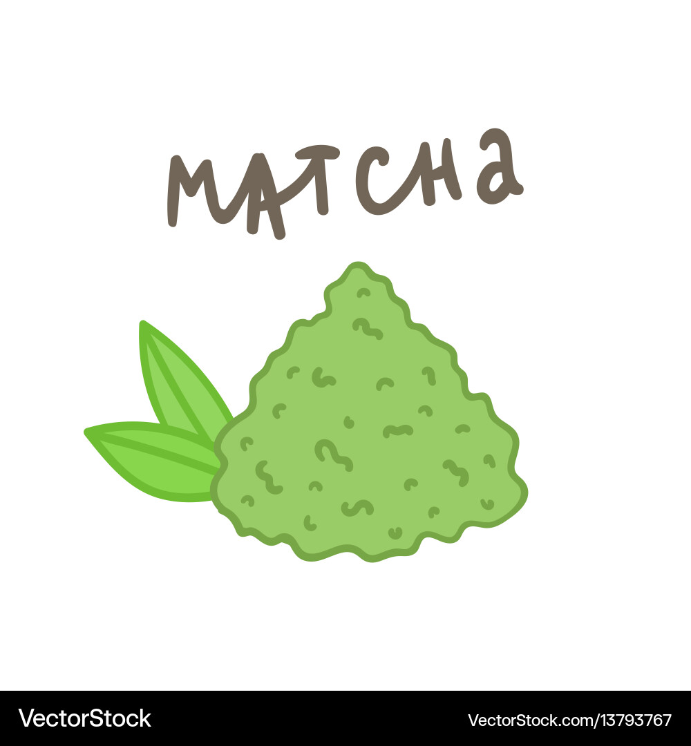 Matcha powder superfood Royalty Free Vector Image