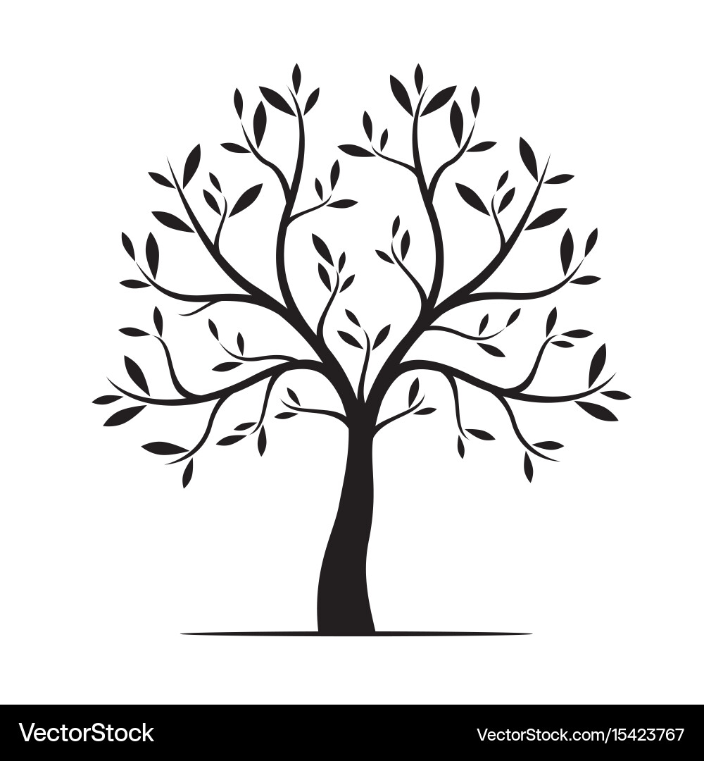 Natural tree with leaves Royalty Free Vector Image