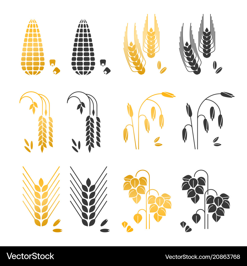 Rice Black Vector Images (over 13,000)