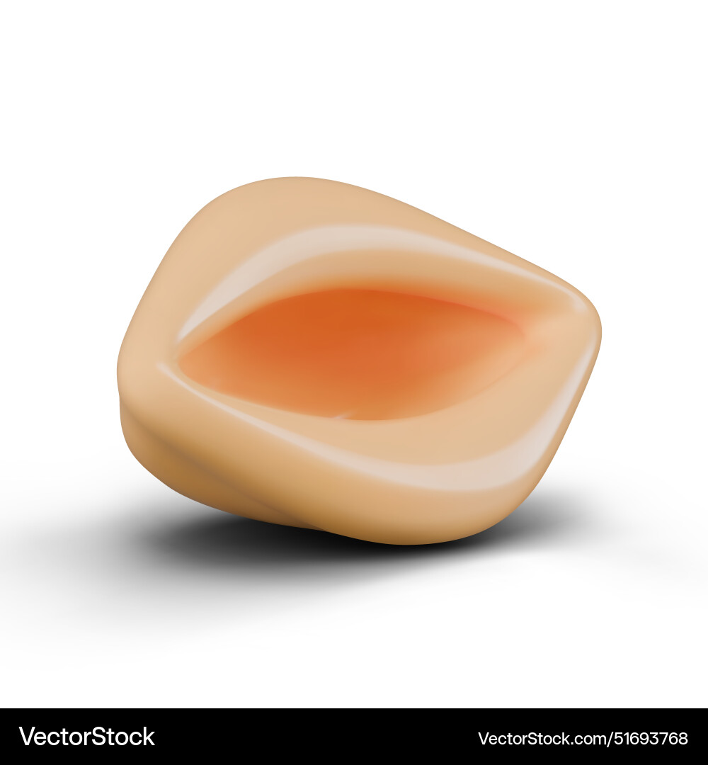 Dough product for filling realistic shell pasta Vector Image
