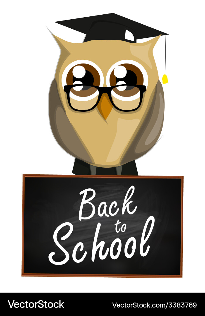 Back to school owl Royalty Free Vector Image - VectorStock