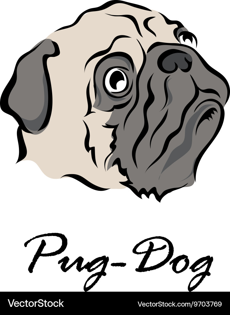 Pug dog Royalty Free Vector Image - VectorStock