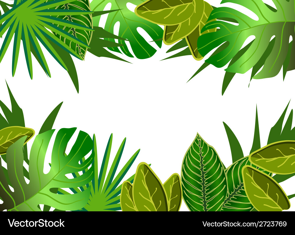 Tropical green leaves Royalty Free Vector Image