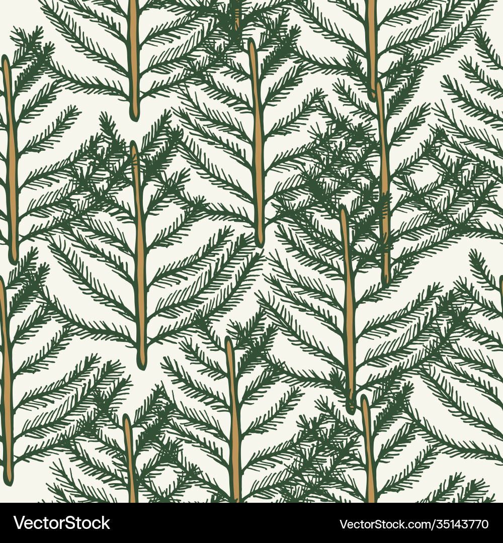 Seamless pattern pine Royalty Free Vector Image