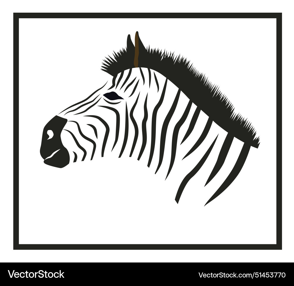 Zebra head side view of an african Royalty Free Vector Image