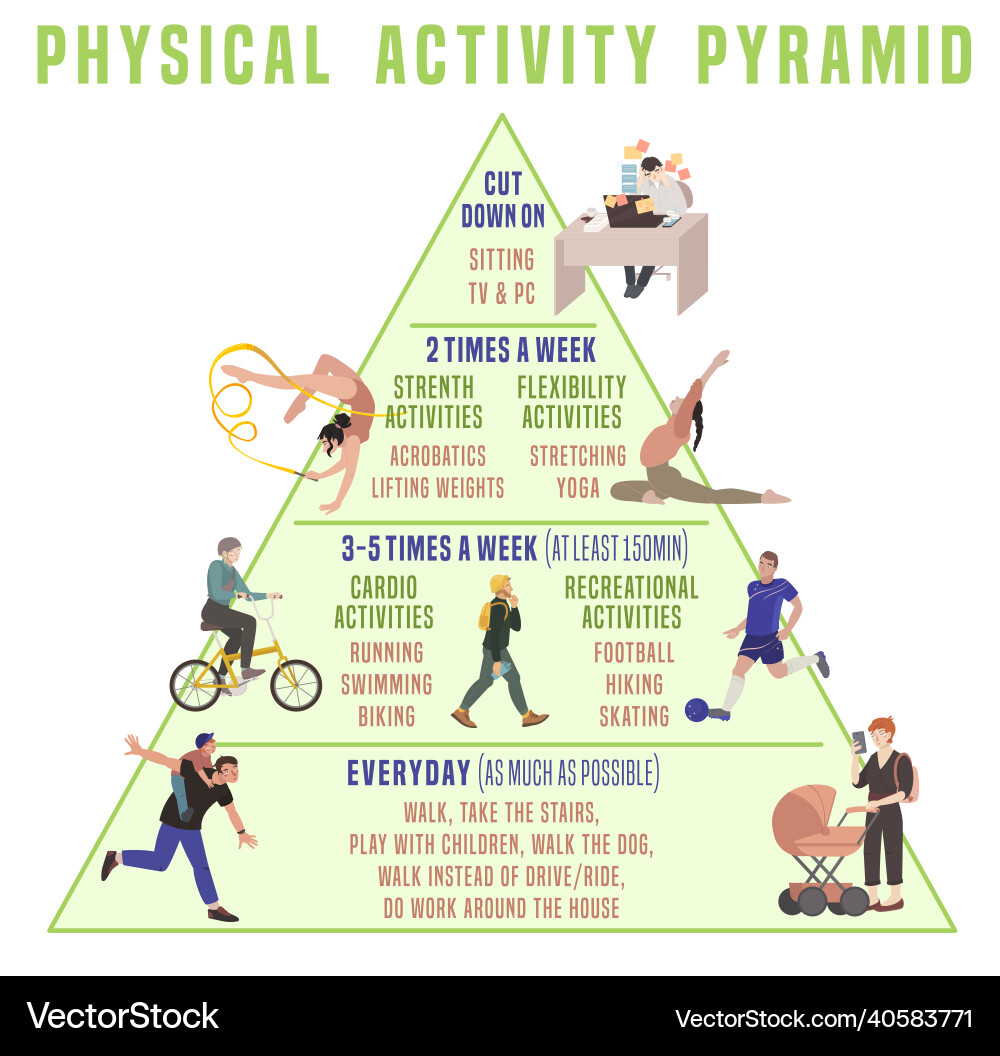 Everyday physical activity pyramid Royalty Free Vector Image