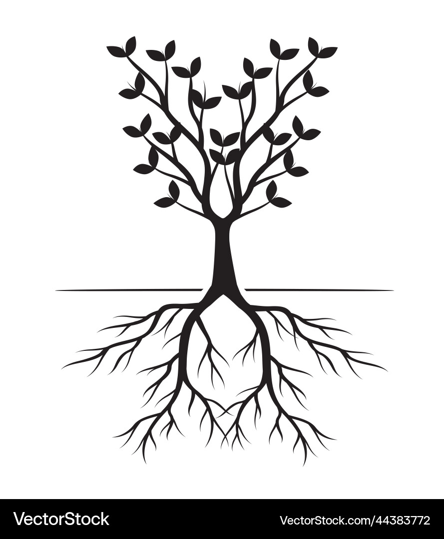 Shape of black tree with leaves and roots Vector Image