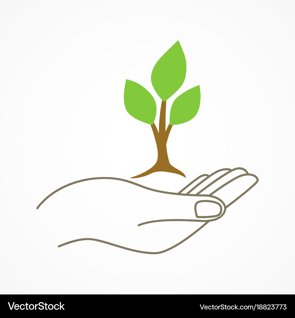 Hand holding a young tree symbol Royalty Free Vector Image