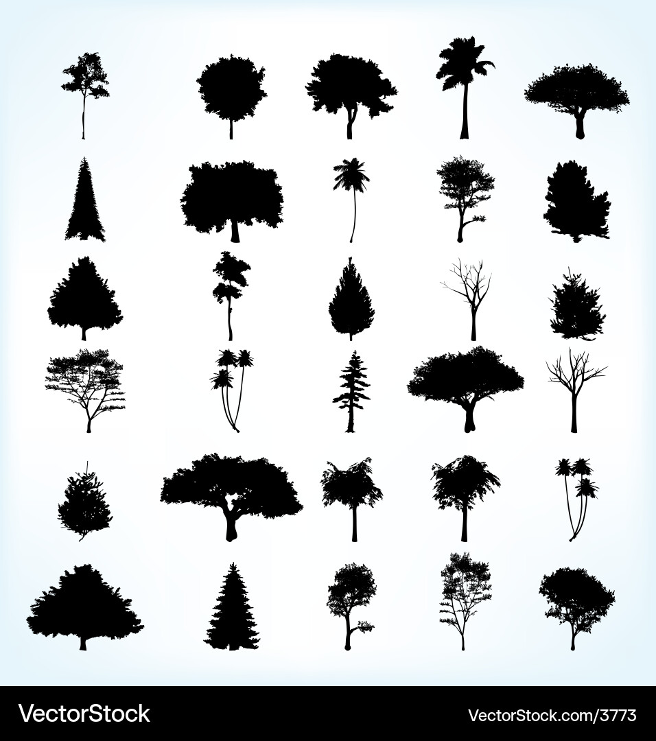 Tree Silhouettes Collection Royalty Free Vector Image