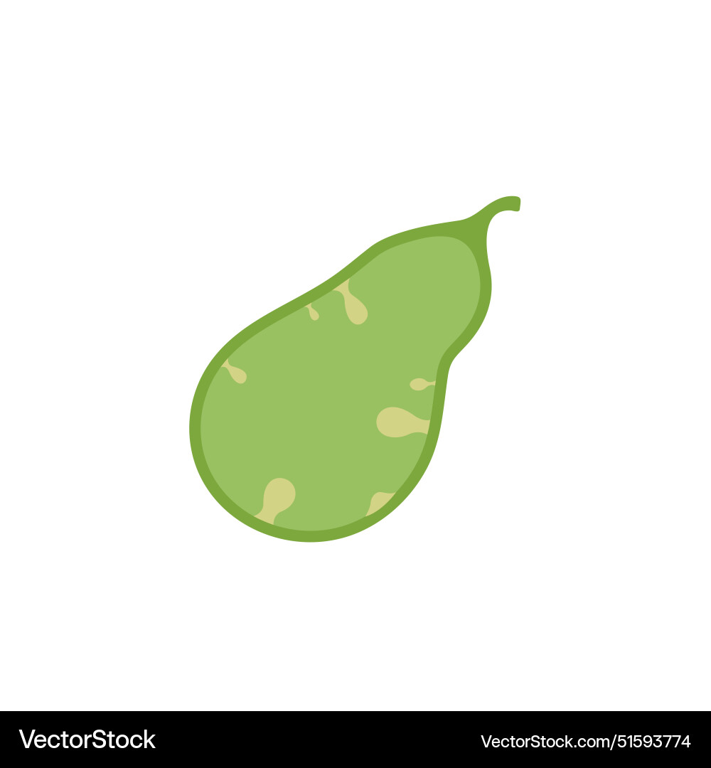 Gallbladder with detection polyp disease check Vector Image