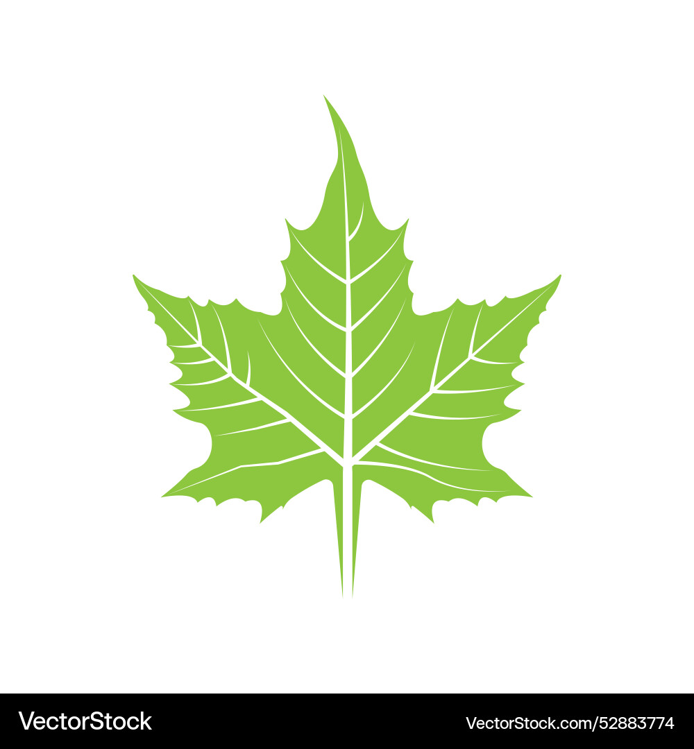 Leaf logo Royalty Free Vector Image - VectorStock