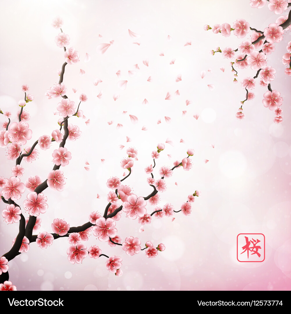 Realistic japan cherry branch eps 10 Royalty Free Vector
