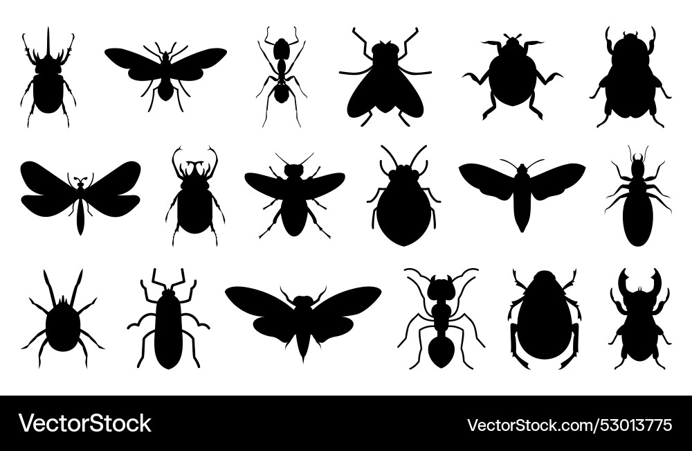 Black bug icon collection set of beetle Royalty Free Vector