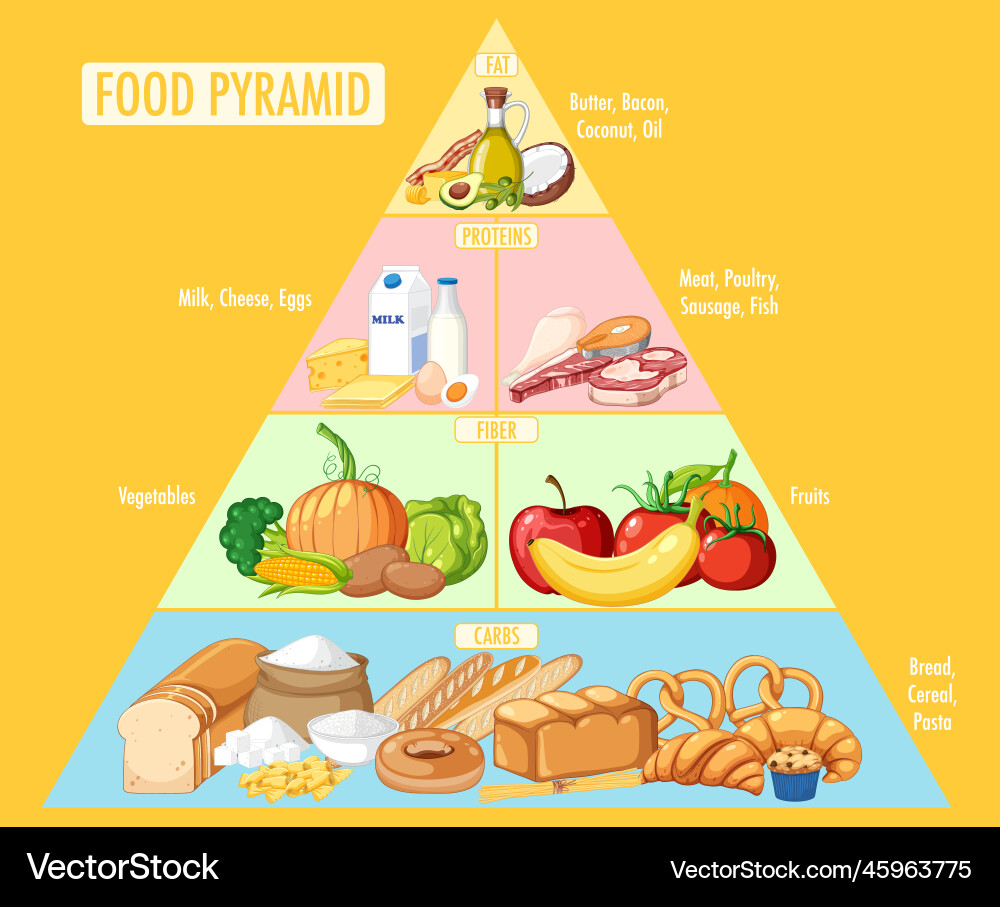 Food nutrition groups pyramid Royalty Free Vector Image