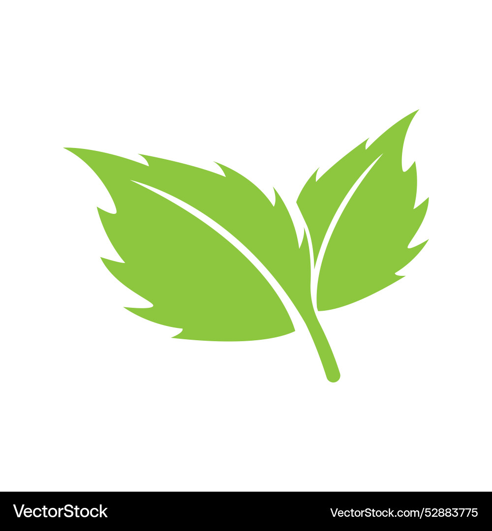 Leaf logo Royalty Free Vector Image - VectorStock