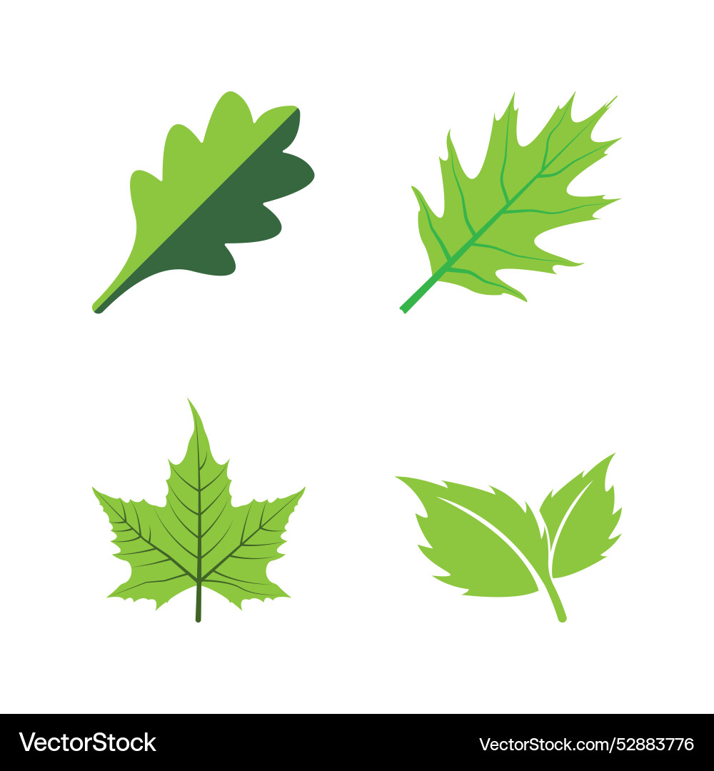 Leaf logo Royalty Free Vector Image - VectorStock