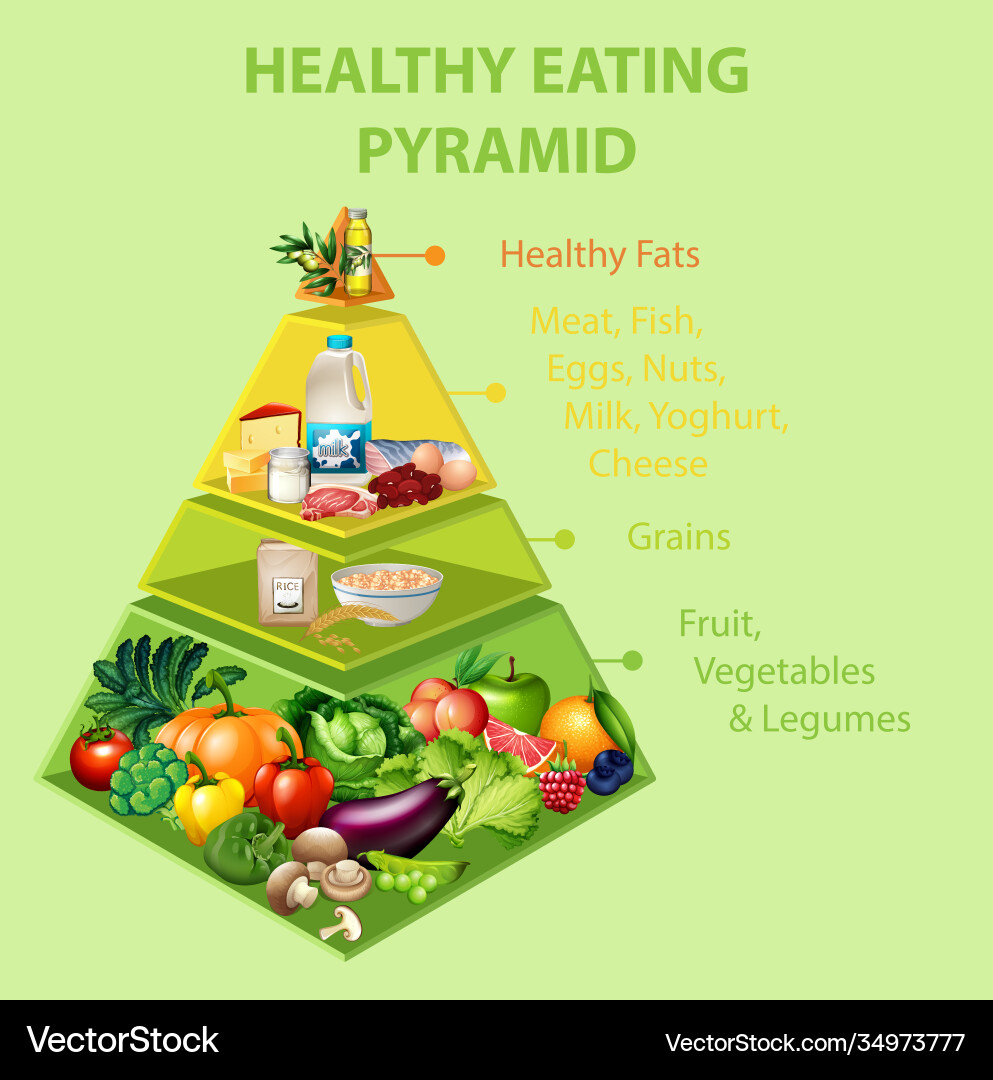 Gesundes Essen Pyramidendiagramm Lizenzfreies Vektorbild