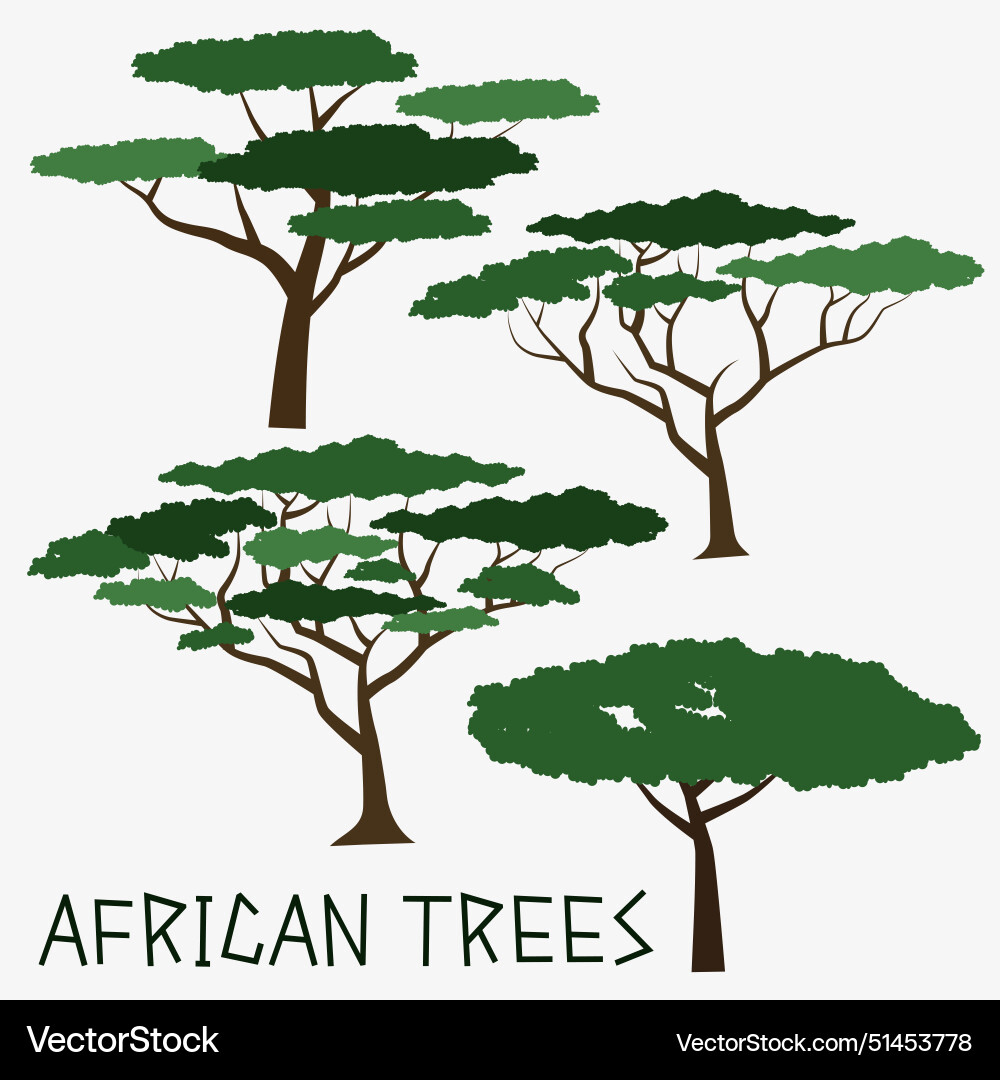 African trees colored silhouette Royalty Free Vector Image