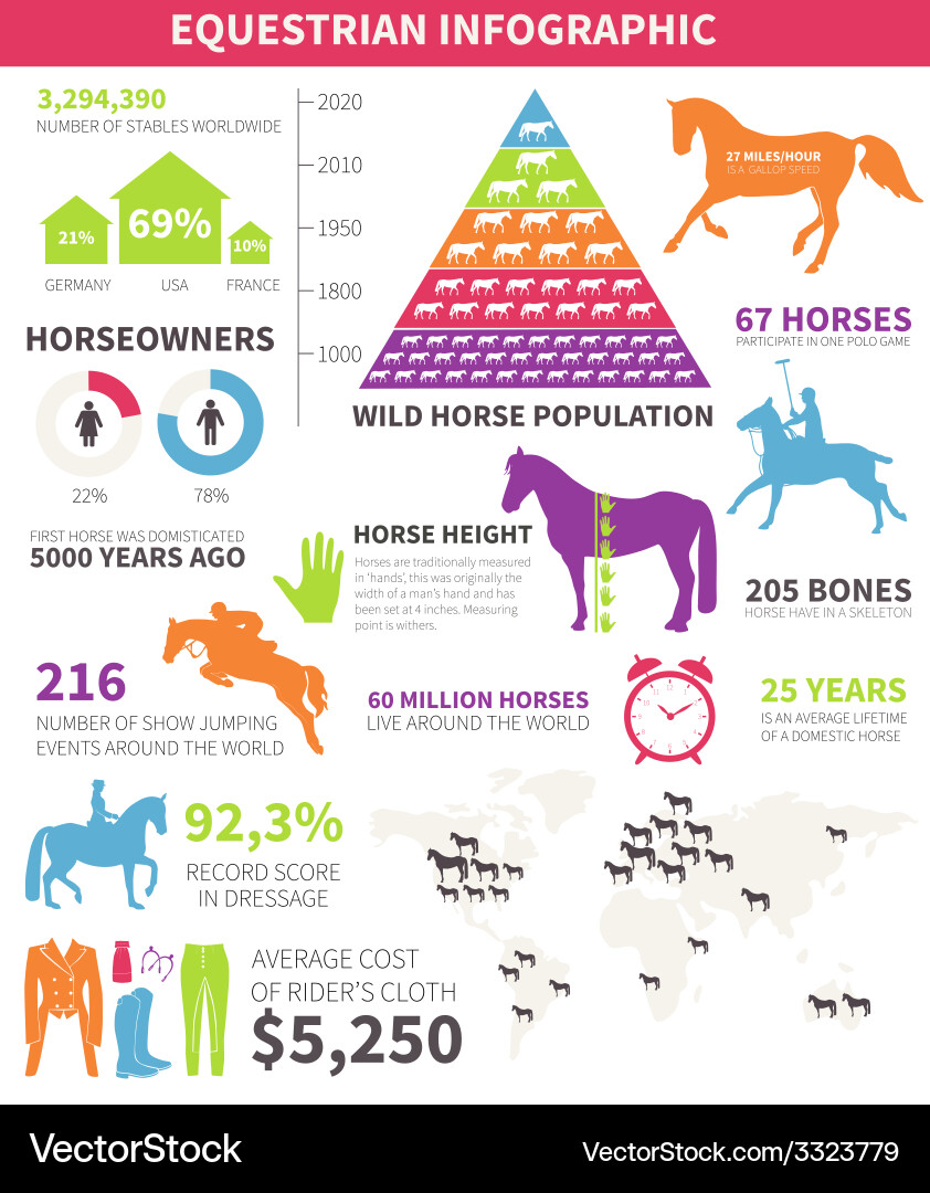 Equestrian infographic Royalty Free Vector Image