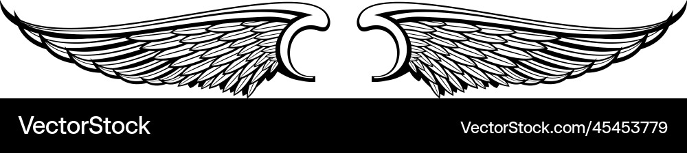 Heraldic wings emblem angel feathers black Vector Image