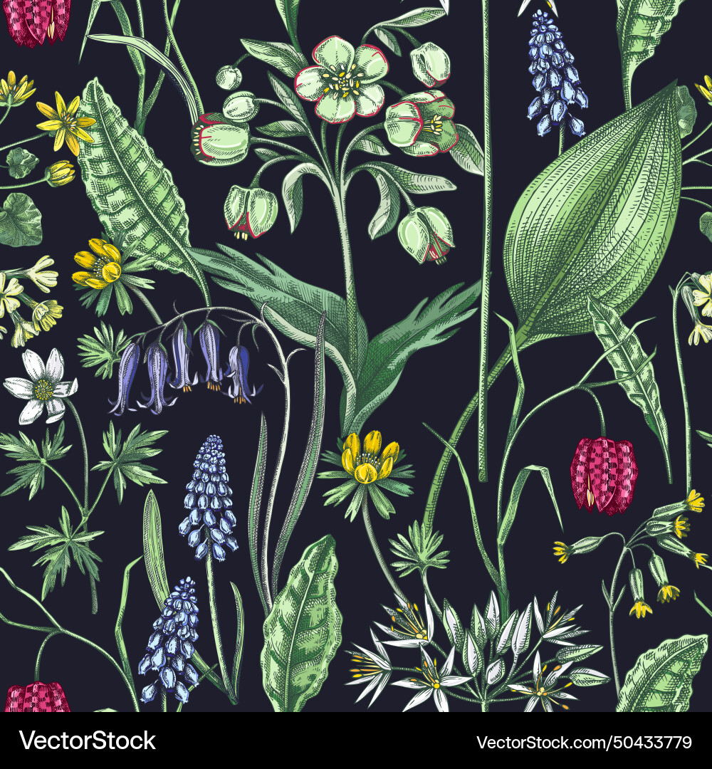 Spring flowers seamless pattern wildflowers Vector Image