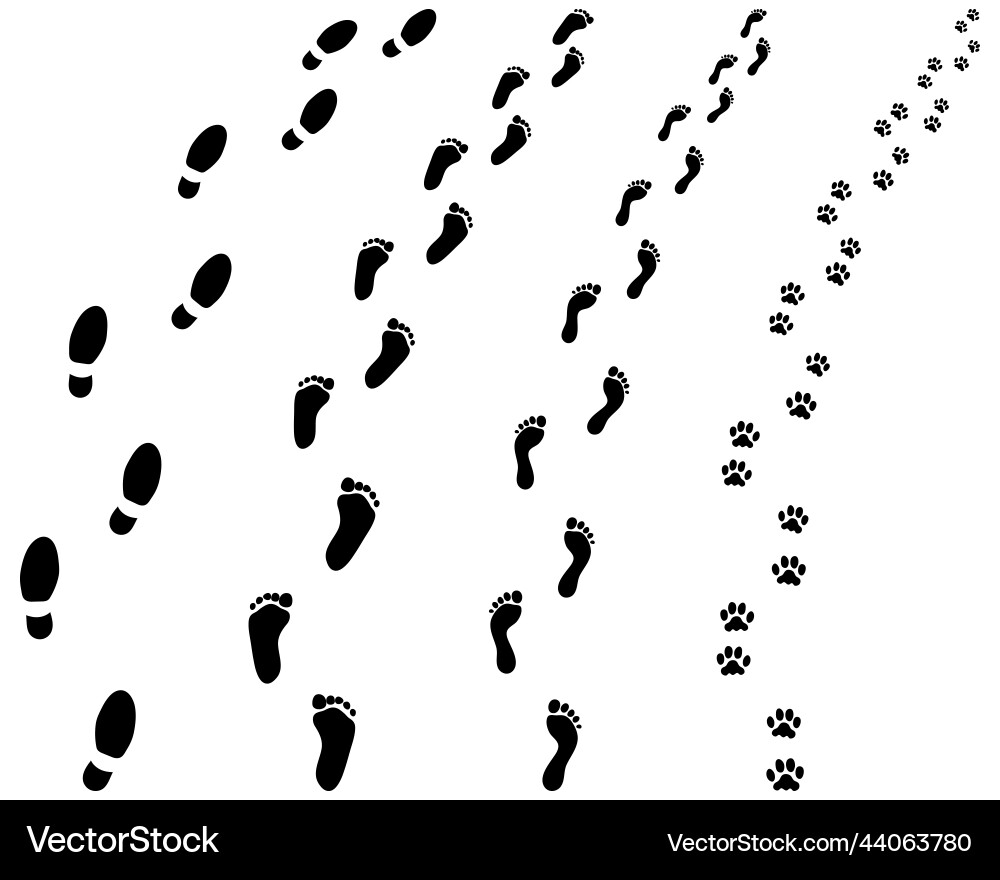 Footprints and shoe prints Royalty Free Vector Image