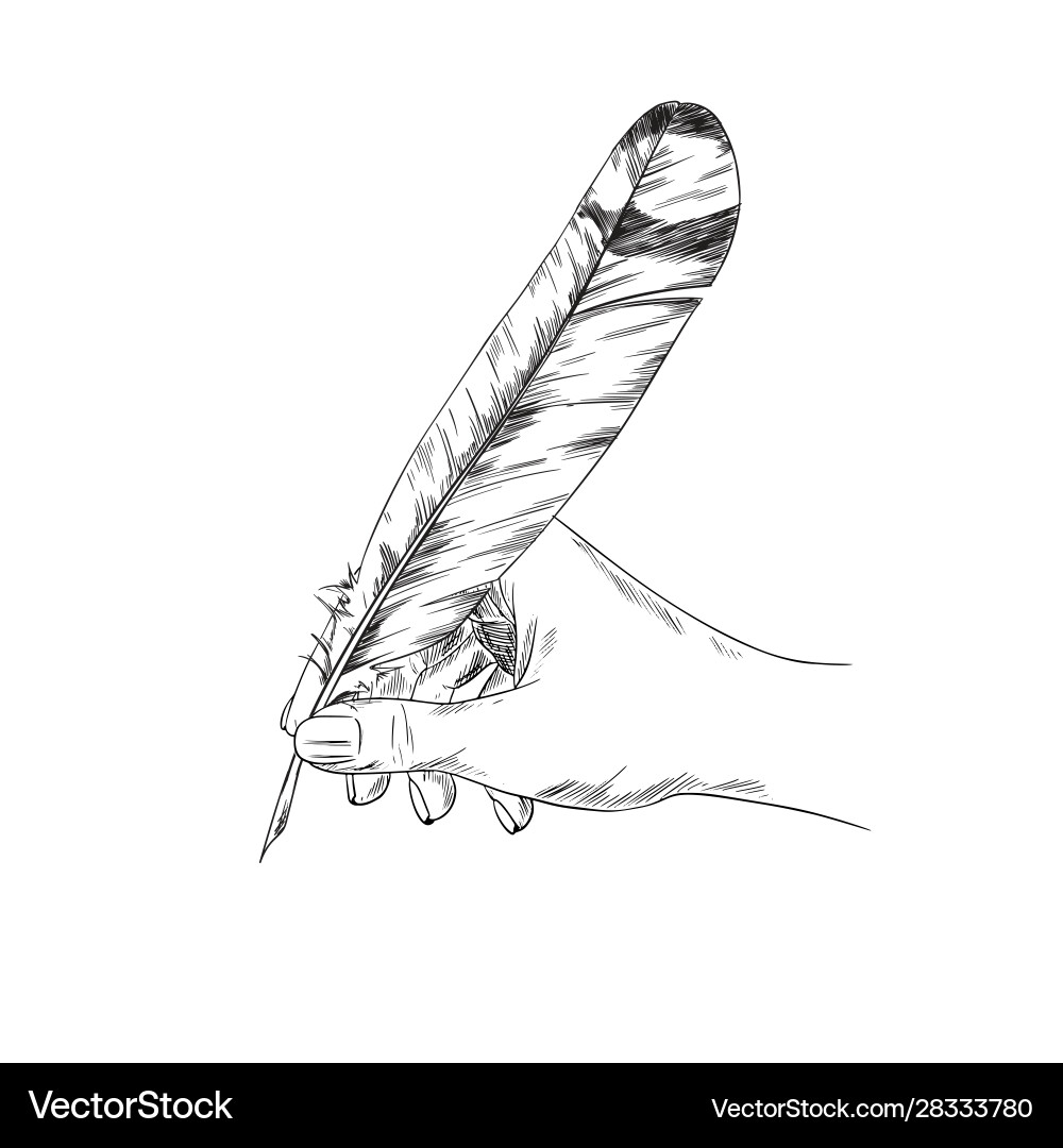 Quill Pen Handwriting Sketch Royalty Free Vector Image