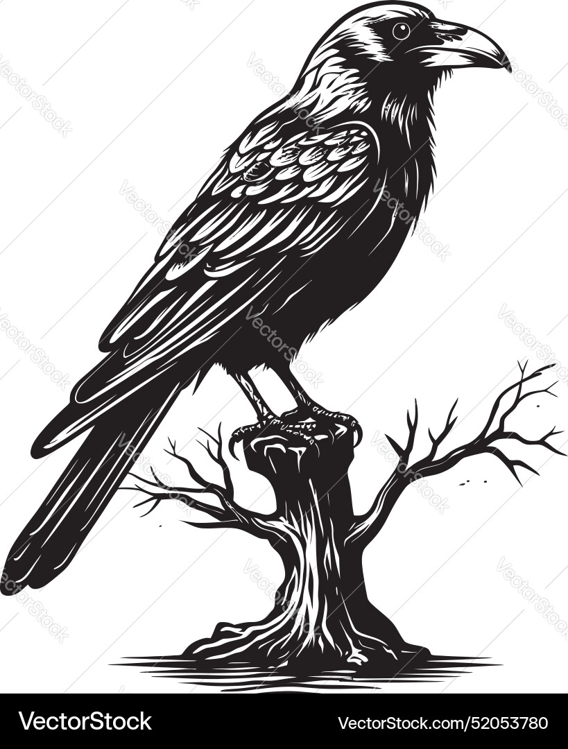 Ravens mystery graphic expression shadowy Vector Image