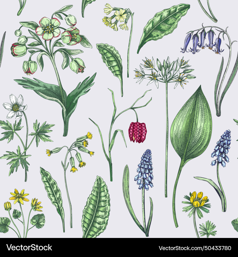 Spring flowers seamless pattern wildflowers Vector Image