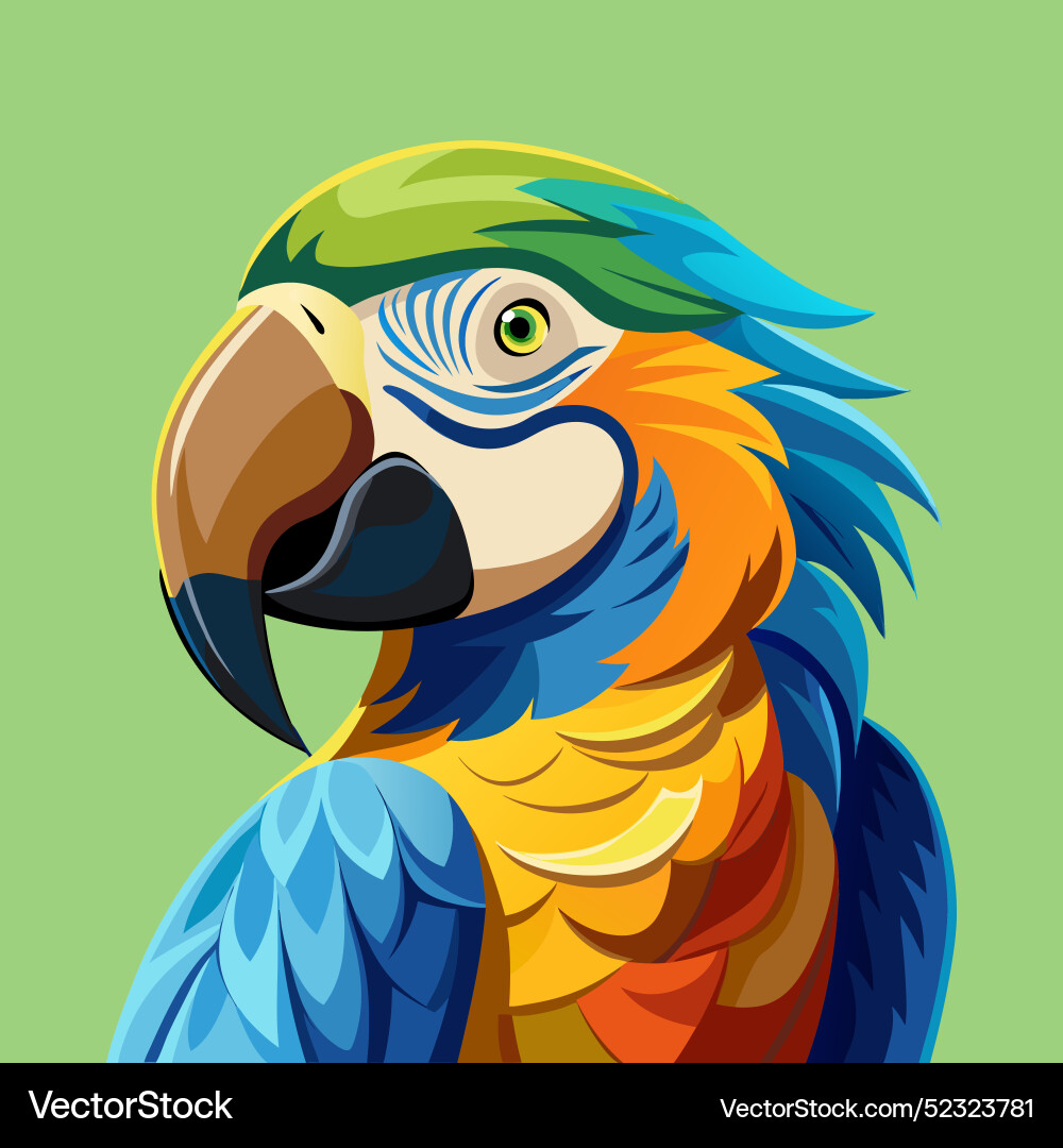 Colorful parrot art Royalty Free Vector Image - VectorStock