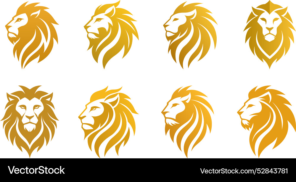 Golden lion logo Royalty Free Vector Image - VectorStock