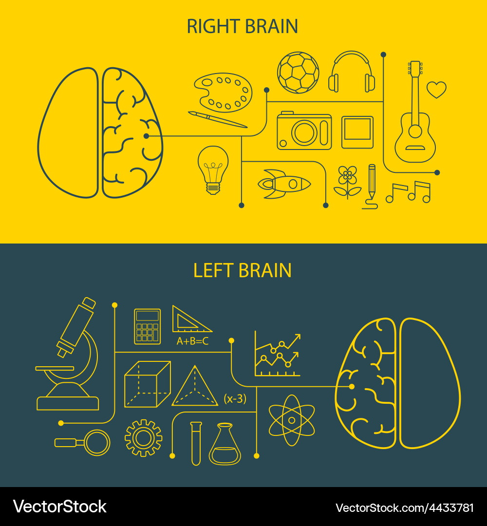 Left and right brain functions concept Royalty Free Vector
