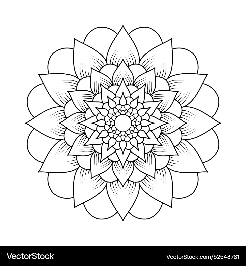 Nutural beautiful mandala design coloring book Vector Image