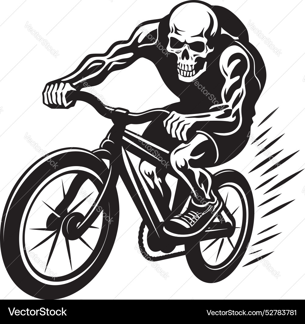 Skull cruiser iconic bicycle rider graphics Vector Image