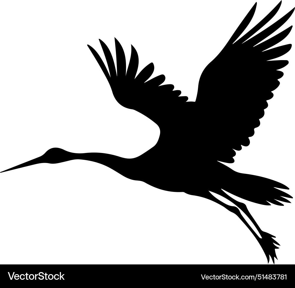 Stork silhouette white background Royalty Free Vector Image