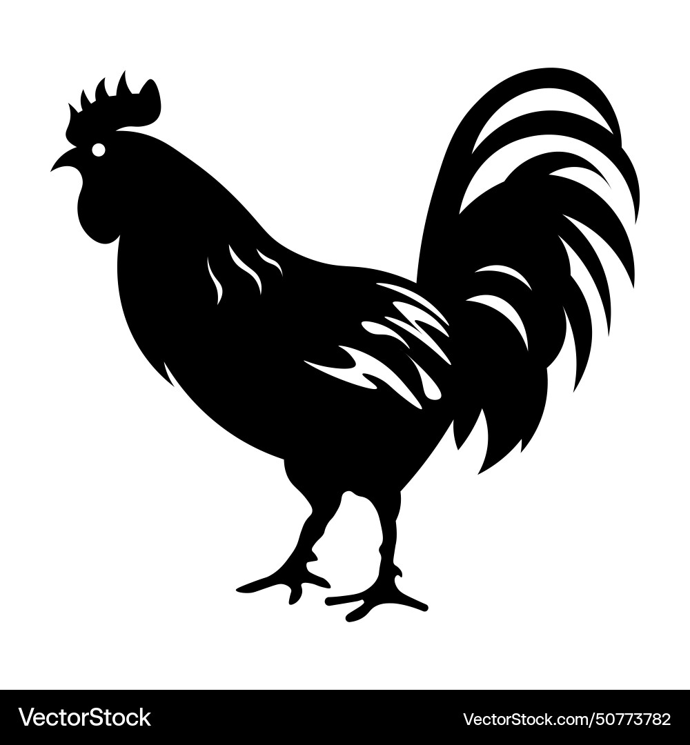 Black chicken icon on white background Royalty Free Vector
