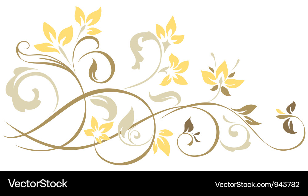 Floral element Royalty Free Vector Image - VectorStock
