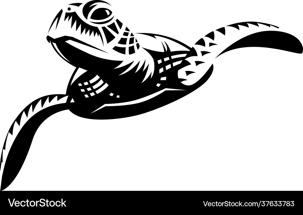 Black graphic sea turtle swimming front view Vector Image