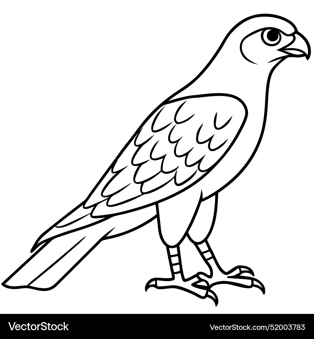 Cuckoo bird play icon Royalty Free Vector Image