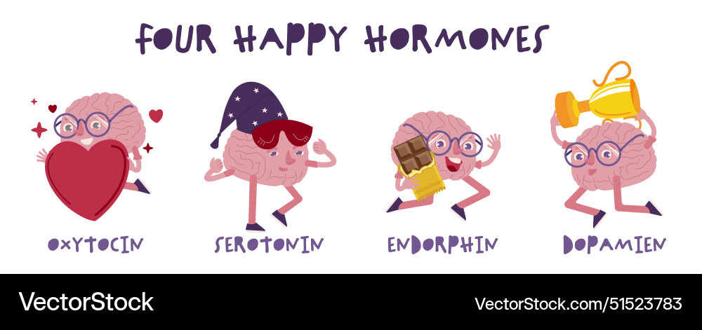 Four happy hormones dopamine endorphin Royalty Free Vector