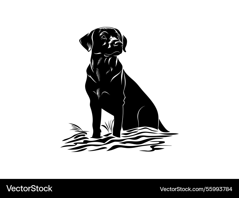 Labrador trio playful silhouettes Royalty Free Vector Image