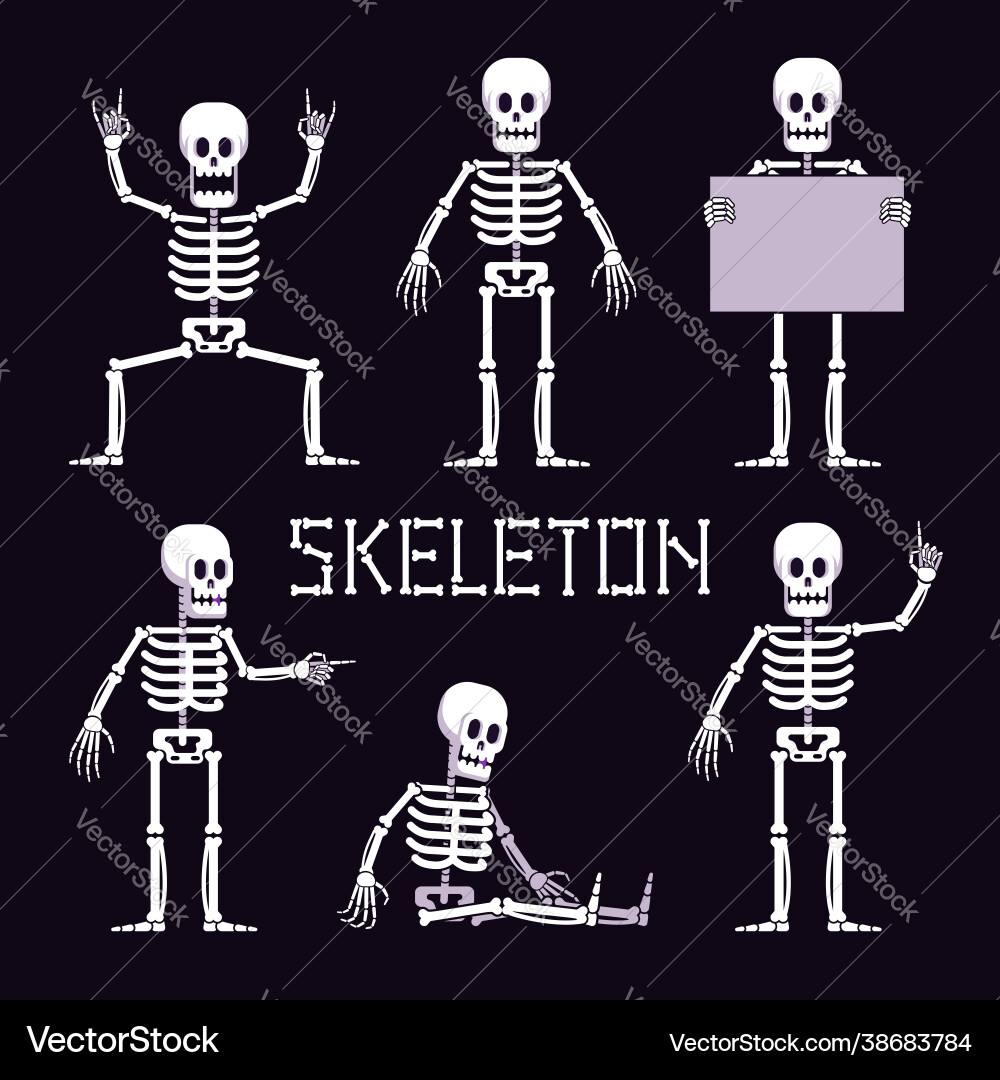 Skeleton in various poses is cartoon style Vector Image