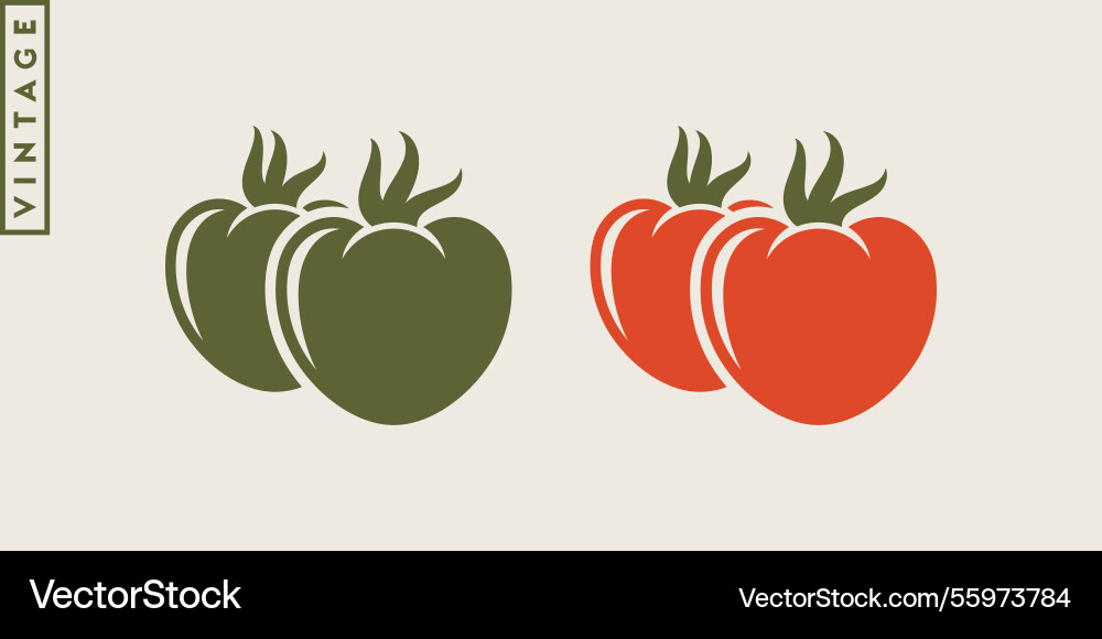 Tomatoes Royalty Free Vector Image - VectorStock