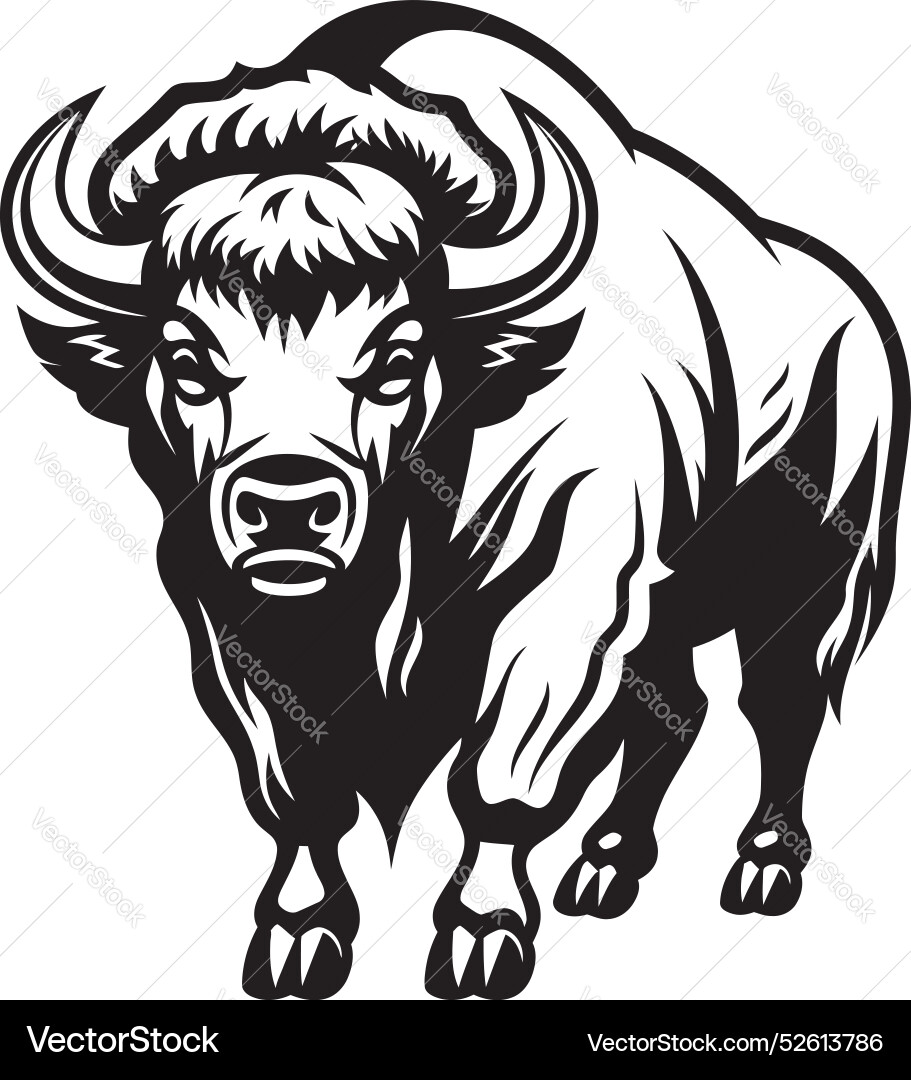 Connecting with the wild black bison graphic Vector Image