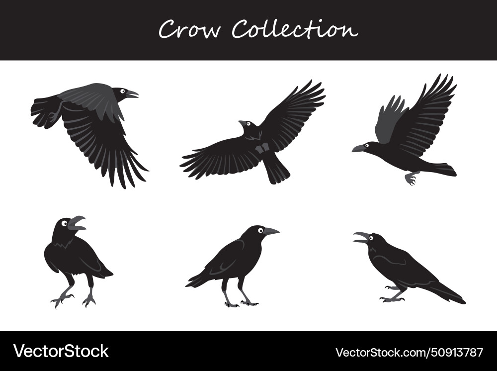 Crow collection Royalty Free Vector Image - VectorStock