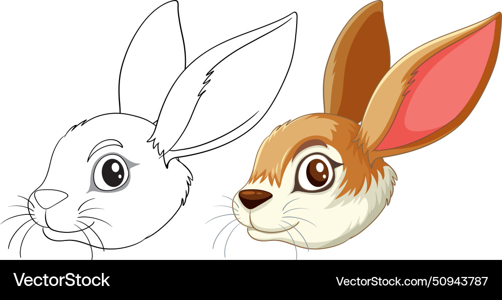 Transition from line art to full color rabbit Vector Image