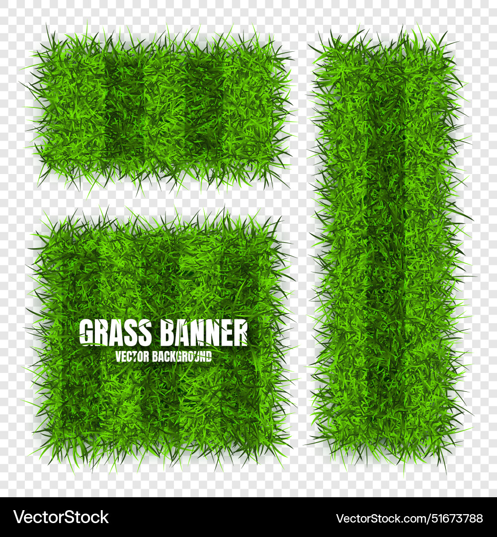 Green grass banners background field meadow Vector Image