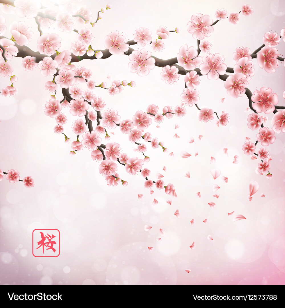 Realistic japan cherry branch eps 10 Royalty Free Vector